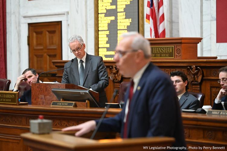 Supporters of intermediate court say it will help business, but others ...