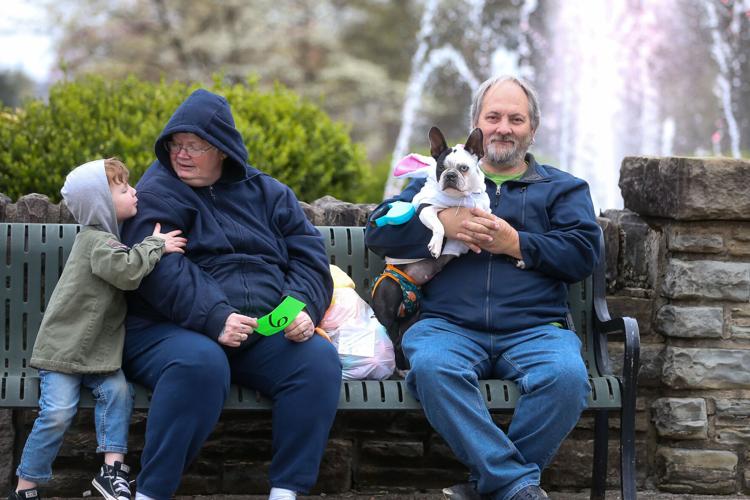 Photos: "Paws in the Park" at Ritter Park | Multimedia | herald ...