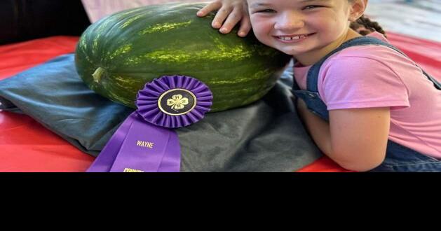 Wayne County youth invited to join watermelon growing contest ...