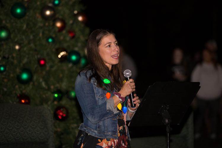 Photos: 2024 Ritter Park Christmas Display Lighting | Multimedia ...