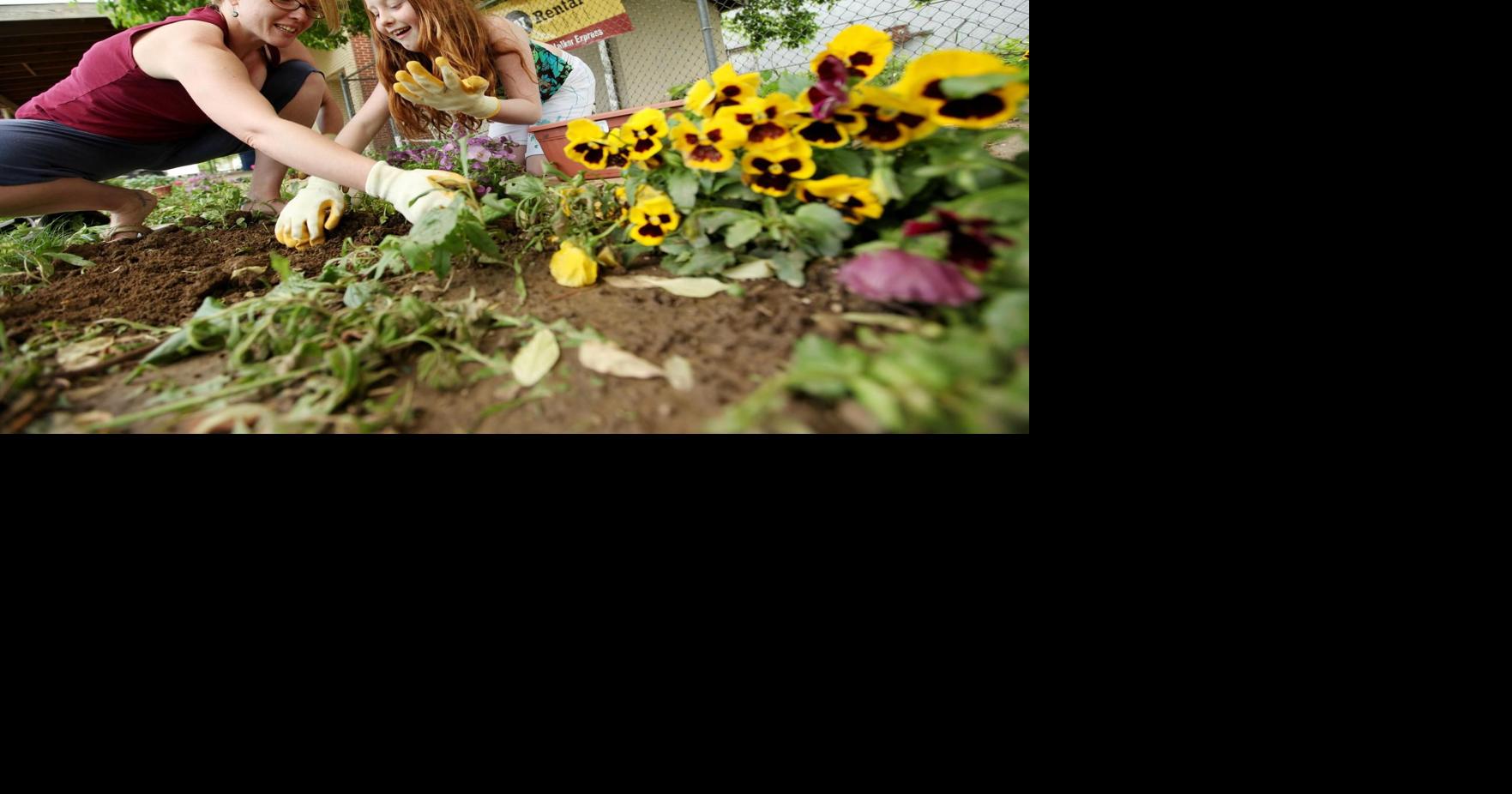 Community Gardens prepares for Weed and Seed ribbon cutting | News ...