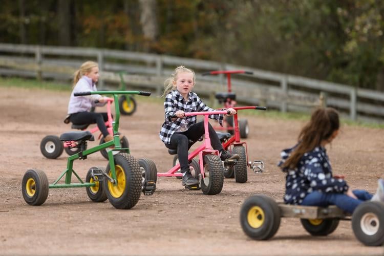 Photos: Families enjoy day off at Gritt's Farm | Multimedia | herald ...