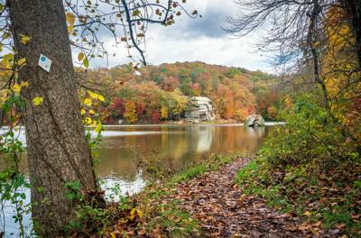 Wayne National Forest seeks campground hosts for Lake Vesuvius ...