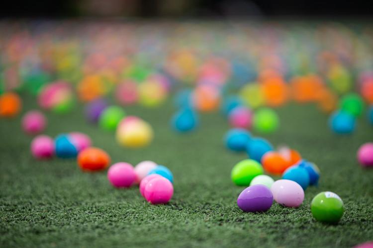 Photos: Operation Easter Egg Hunt | Multimedia | herald-dispatch.com