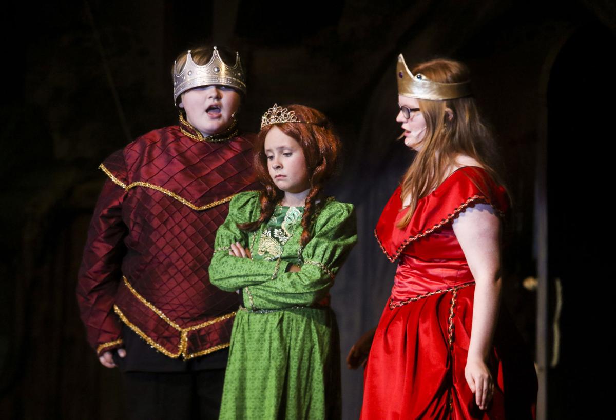 First Stage's 'Shrek: The Musical' a positive experience for new ...