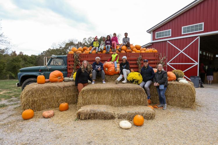 Photos: Families enjoy day off at Gritt's Farm | Multimedia | herald ...