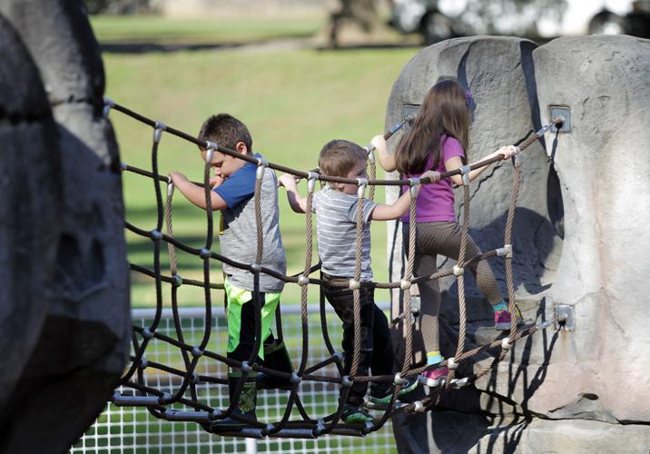 Photos: Grand Opening for Ritter Park Playground | Multimedia | herald ...