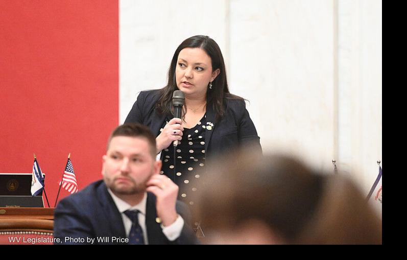 Laura Chapman resigns as health chair before 2026 session | | herald ...