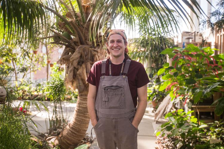 Coconuts are growing at the HMOA conservatory | News | herald-dispatch.com