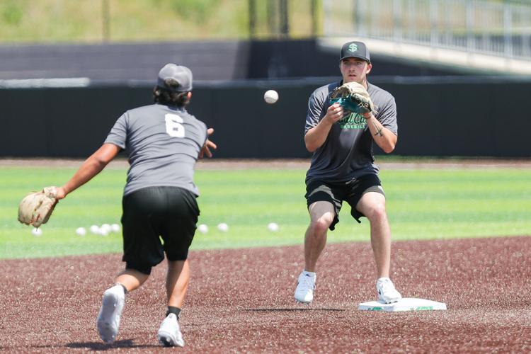 Coal Cats set for second season in Appalachian League | Sports | herald ...