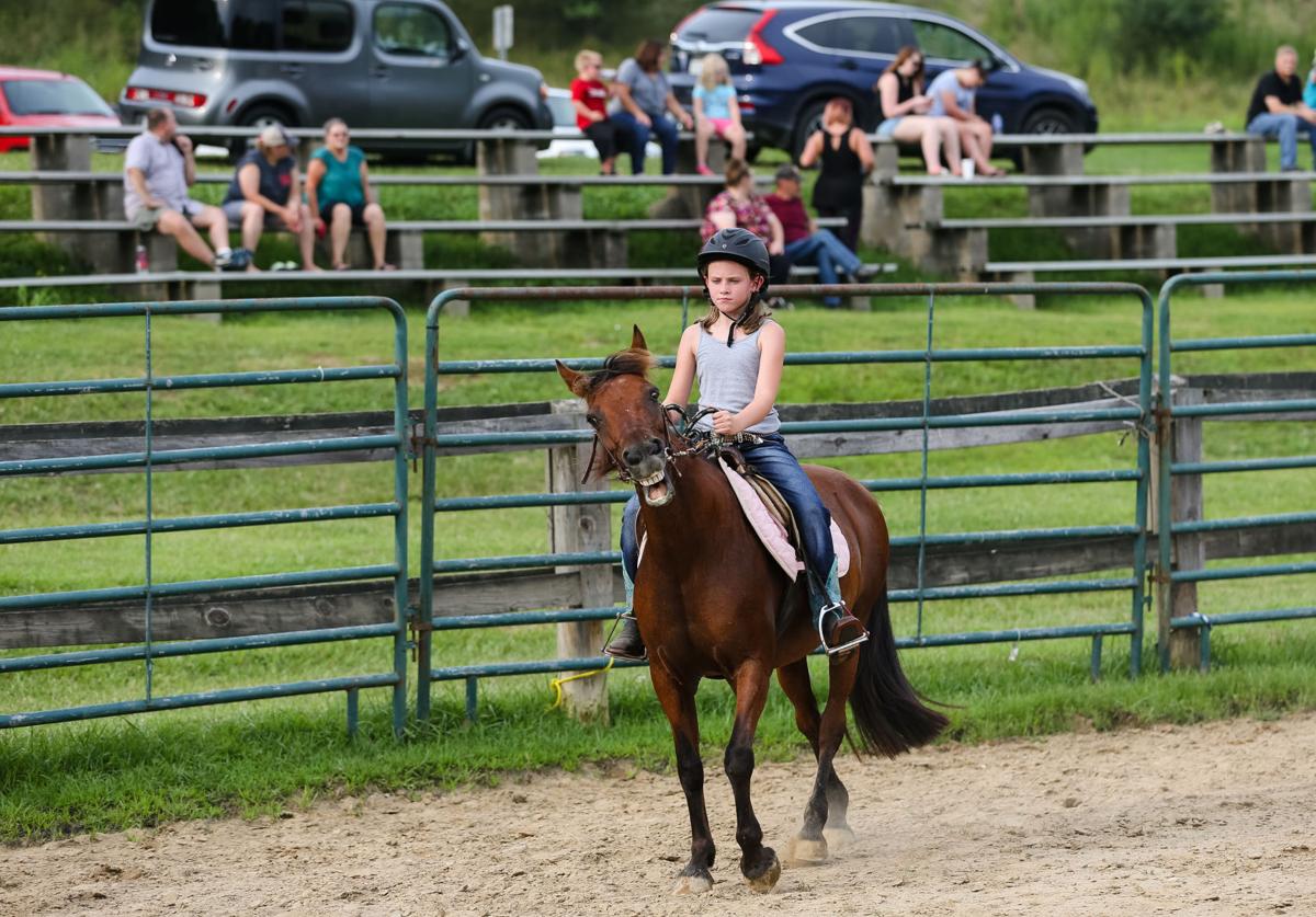 Photos: Cabell County Fair Horse Show | Multimedia | herald-dispatch.com