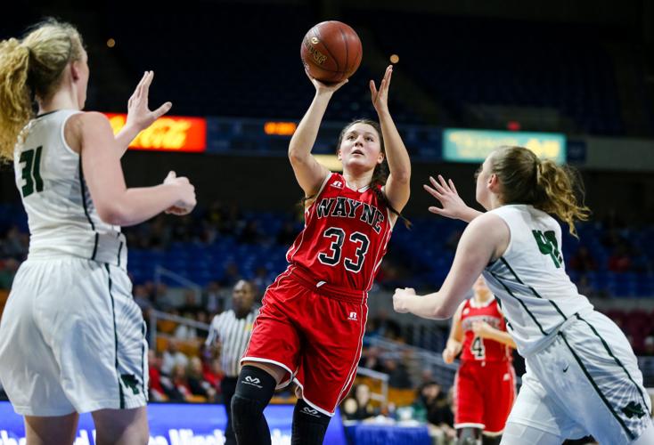 Wayne's Adkins on all-state first team | High School Sports | herald ...