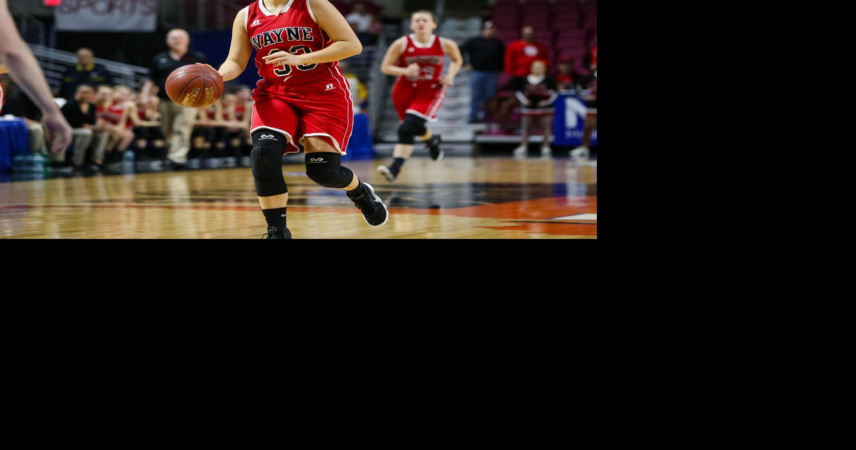 Wayne's Adkins on all-state first team | High School Sports | herald ...