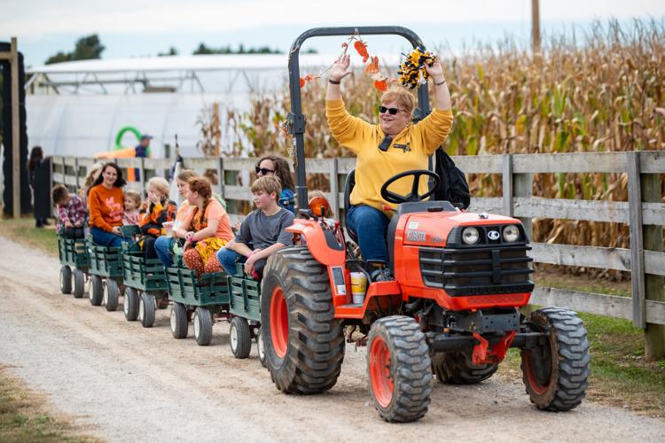 Gritt’s Fun Farm in Putnam County attracts guests from all 50 states ...