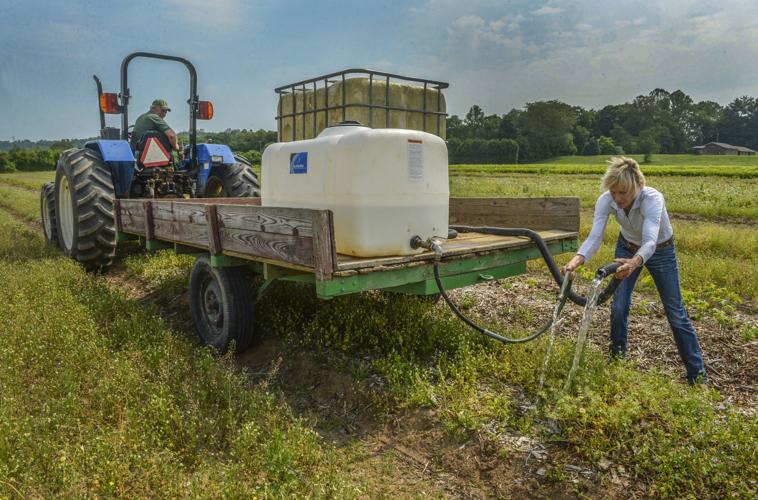 Without announcement, Division of Forestry pulls plug on Clements State ...