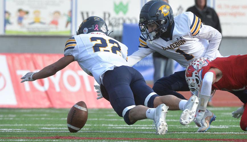 Wahama White Falcons top Cameron Dragons in football final | High ...