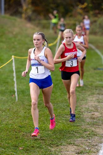 Overcomer runner Reilly leads Buffalo to state XC title | Sports ...