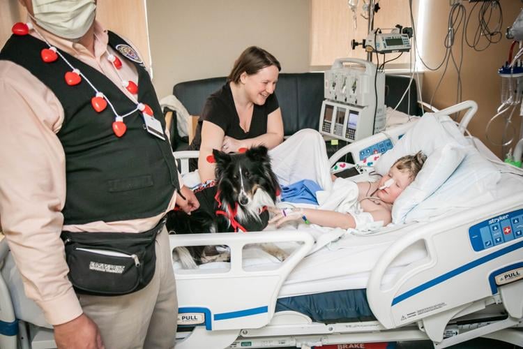 Therapy pets spread love to young patients with Valentine's Day parade ...