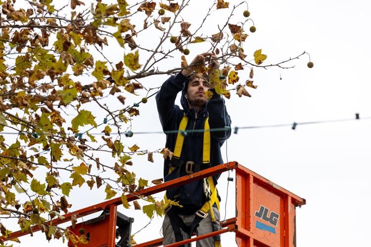 Holiday decorations spring up downtown | News | herald-dispatch.com