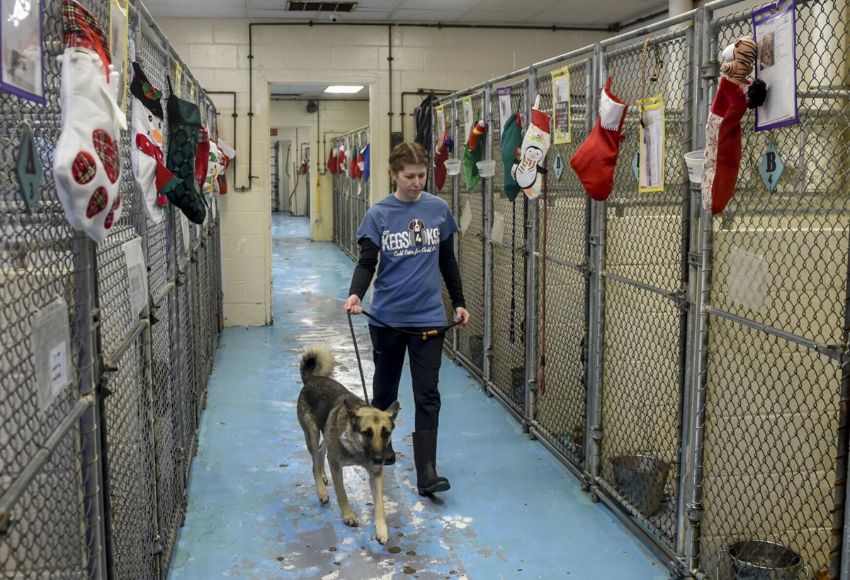 Humane Association holds stocking stuffer donation drive for animals to ...