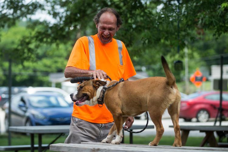 Animal Shelter Hosts Adoption Fair on Saturday | News | herald-dispatch.com