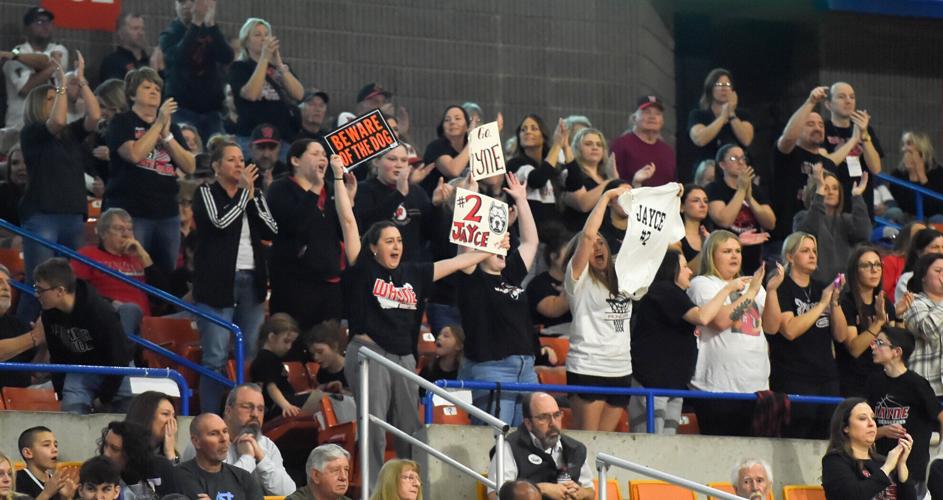 Wayne Pioneers beat Nitro Wildcats for first state title | High School ...