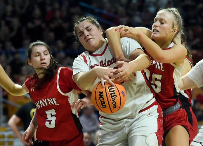 Wayne Pioneers beat Nitro Wildcats for first state title | High School ...