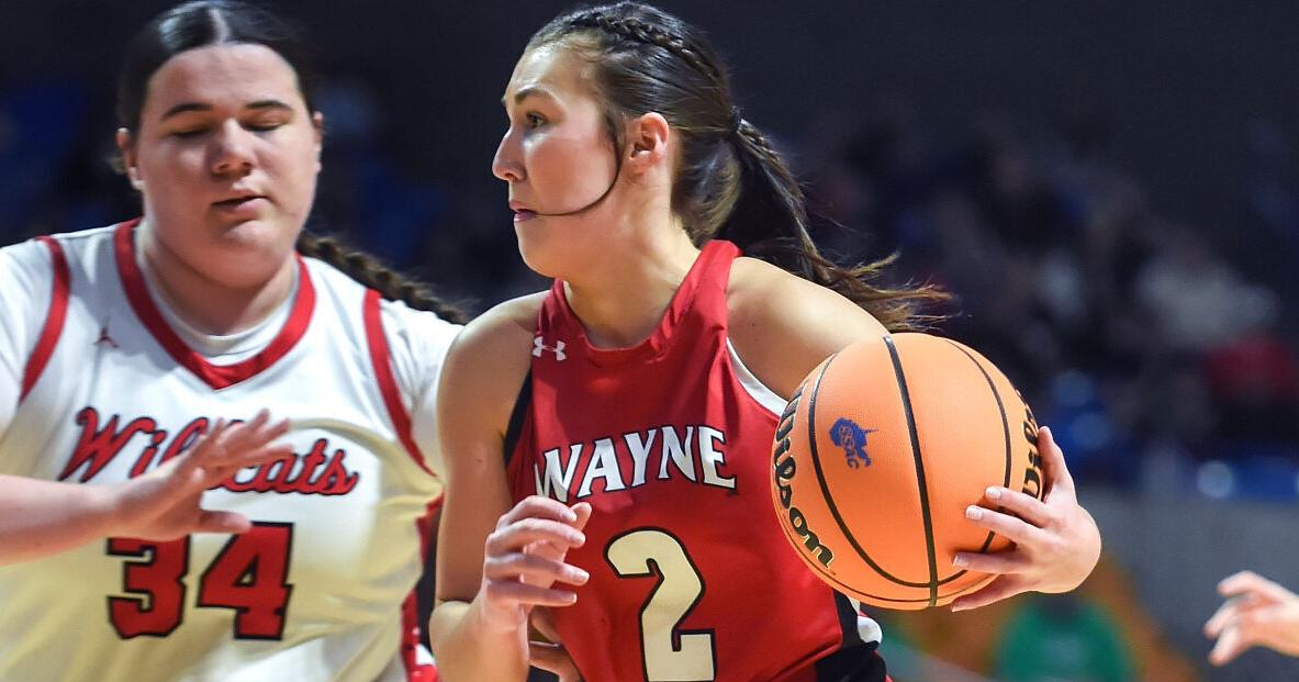 Wayne Pioneers beat Nitro Wildcats for first state title | High School ...