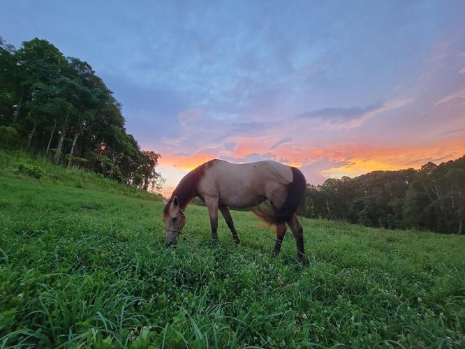 From therapy to agritourism, Smith Farm's focus is service to the ...