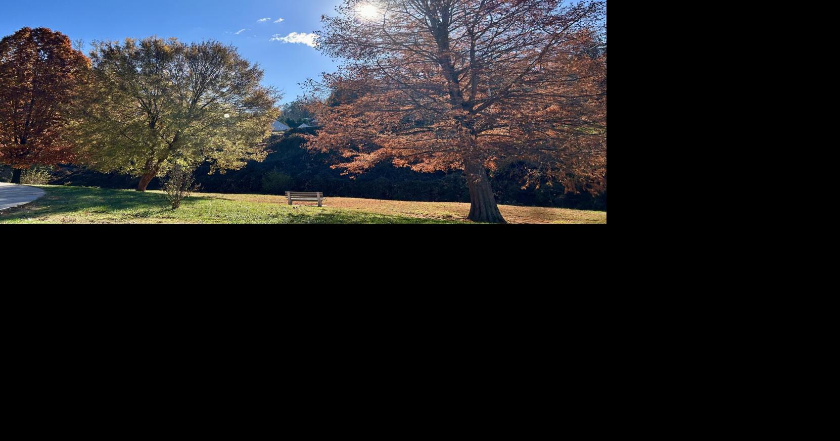 Stephanie Hill: Hoo-hoo in the dark: The quiet wisdom of autumn ...