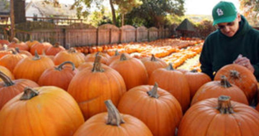 Kenova's Pumpkin House turns 30 | News | herald-dispatch.com