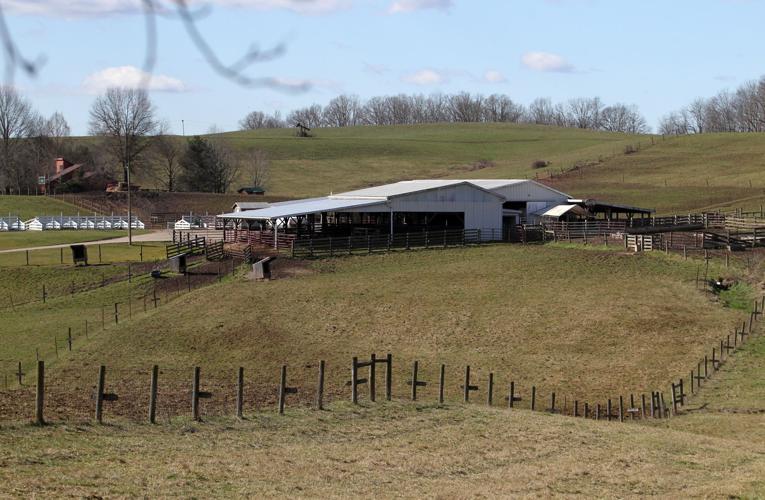 Photos: Champion Hill Cattle Farm in Bidwell, Ohio | Multimedia ...