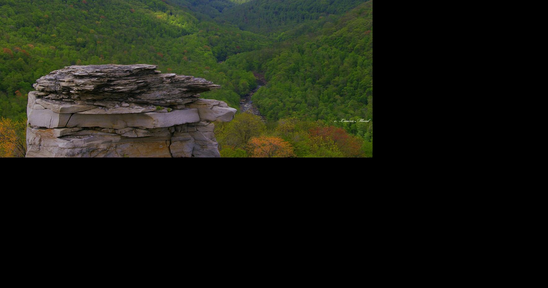 Laura Moul: Images from the Canaan Valley National Wildlife Refuge ...