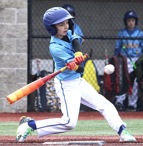 Knuckleheads host Wildcats in tournament | Putnam News | herald ...
