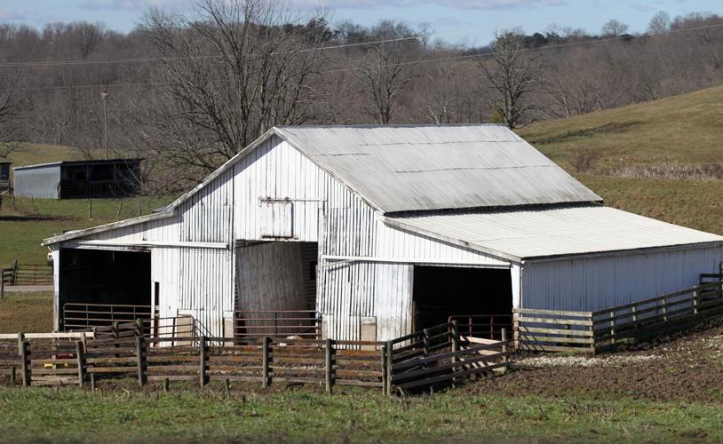 Photos: Champion Hill Cattle Farm in Bidwell, Ohio | Multimedia ...