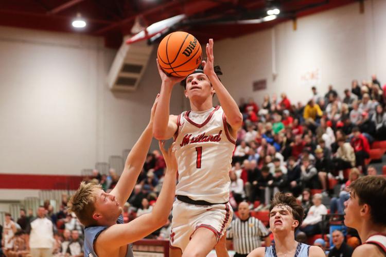 Scorer Blackburn leads young Knights in building year | Sports | herald ...