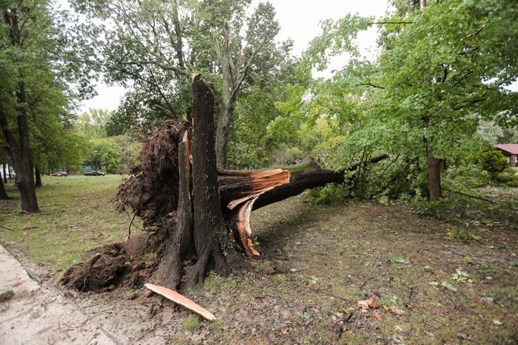 Power outages, downed trees reported in Tri-State as Hurricane Helene ...