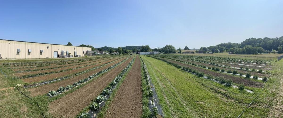 Sogefi leases land to farm featured at C-K Farmers Market | News ...