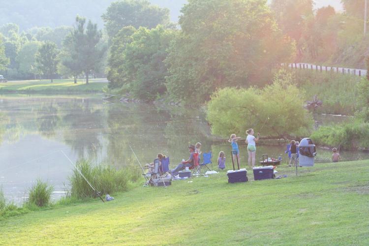 Gallery: Beech Fork Marina | Photos News | herald-dispatch.com