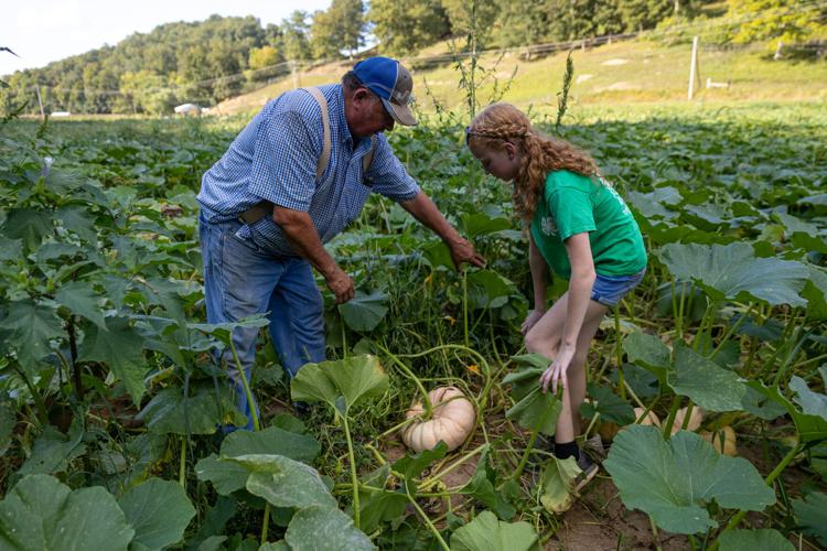 Wilson Family Farm is a hot spot for fall activities; family tradition ...