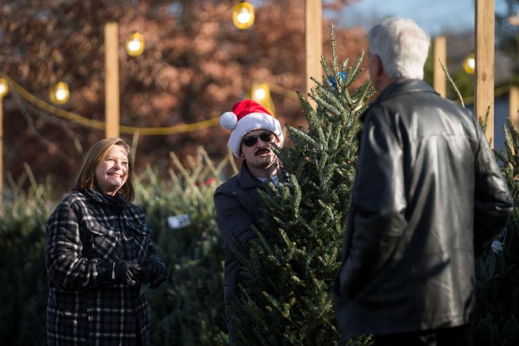 Live trees selling quickly for the holiday season | News | herald ...