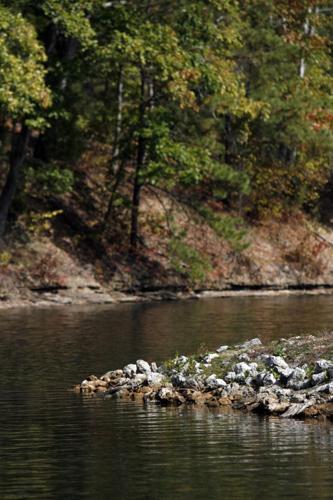 Gallery: Shawnee State Forest | Photo Galleries | herald-dispatch.com