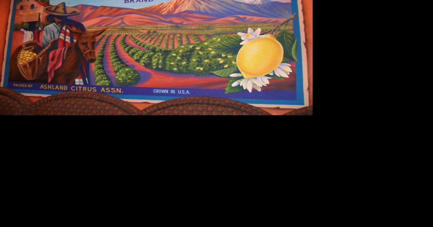 New management, monthly parties at Fiesta Bravo | Features ...