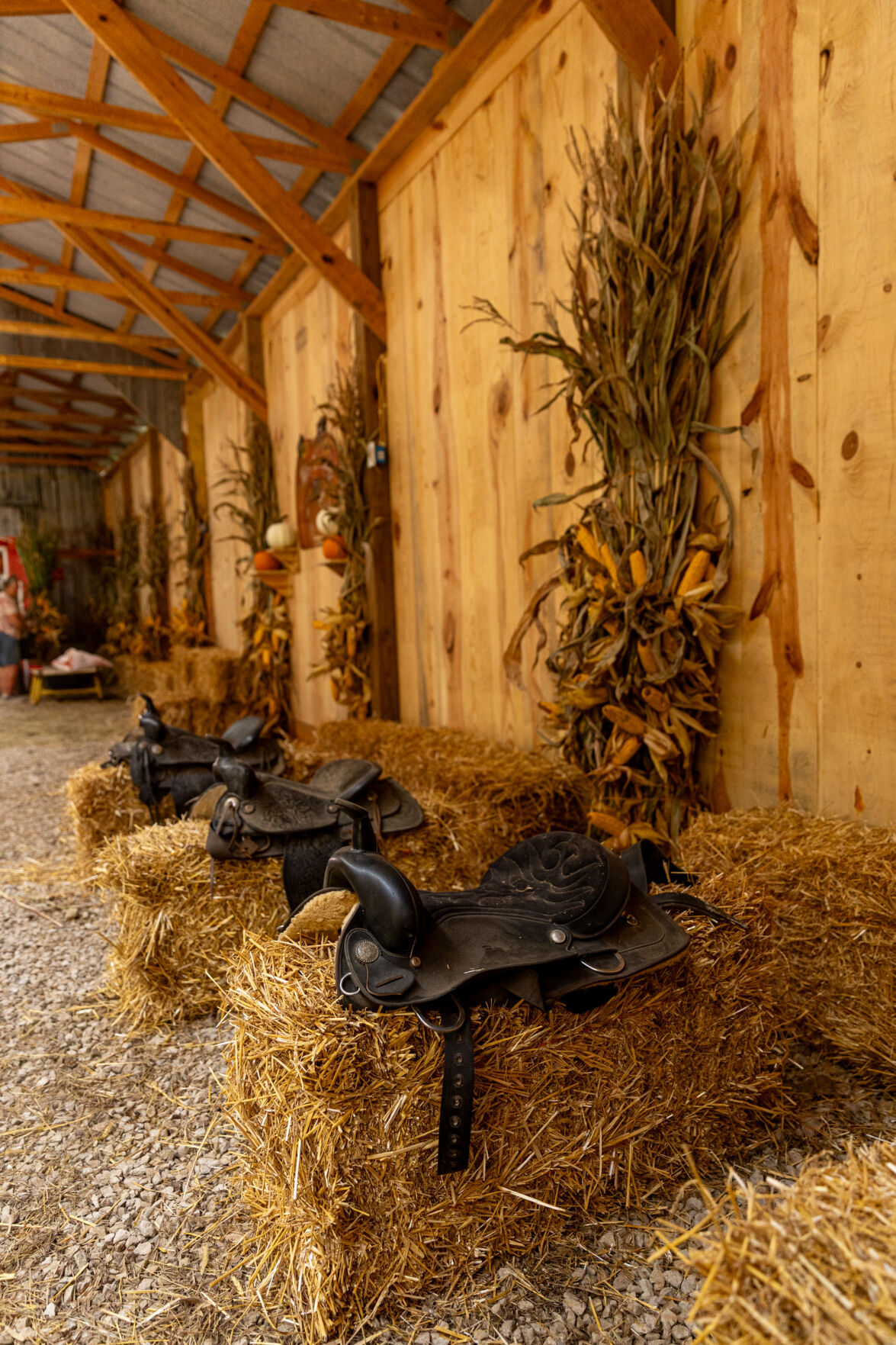 Photos: Wilson Family Farm opens for the season | Multimedia | herald ...