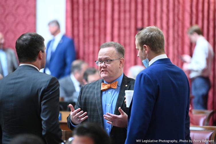 West Virginia lawmakers endorse redistricting maps | News | herald ...