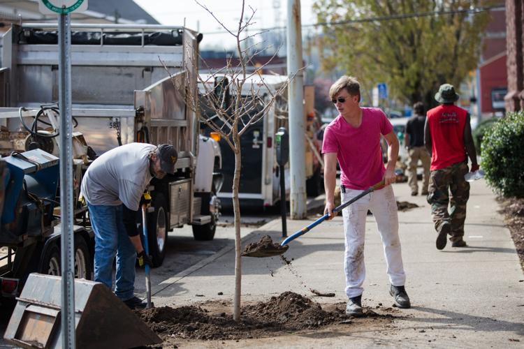 Warmer weather prompts tree planting downtown | News | herald-dispatch.com
