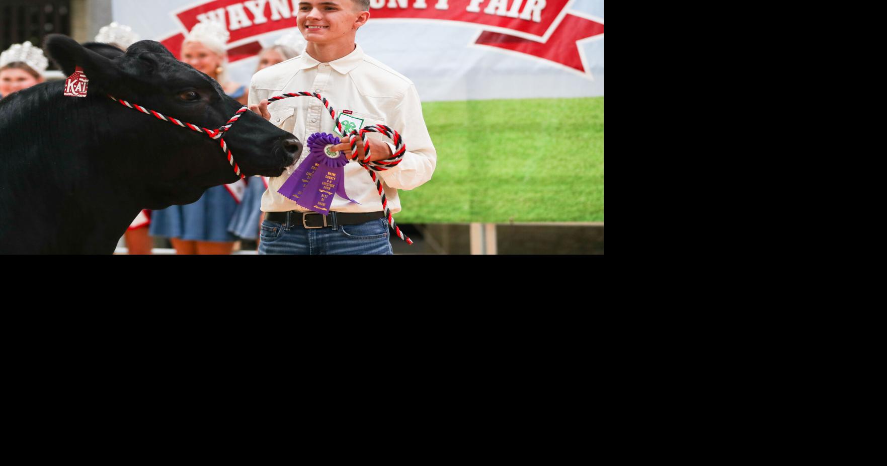 Fun continues at the Wayne County Fair at Camden Park | News | herald ...
