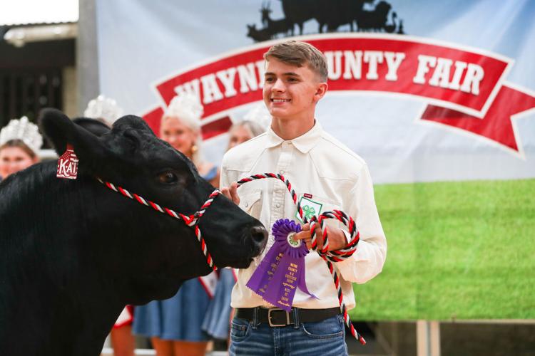 Fun continues at the Wayne County Fair at Camden Park | News | herald ...
