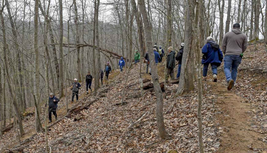 New TNC trail: Hungry Beech Preserve at Walton, Roane County | News ...