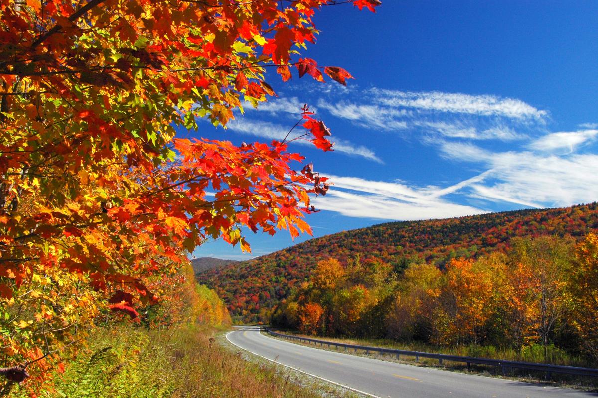 W.Va.'s highways and byways perfect for viewing autumn color | Features ...